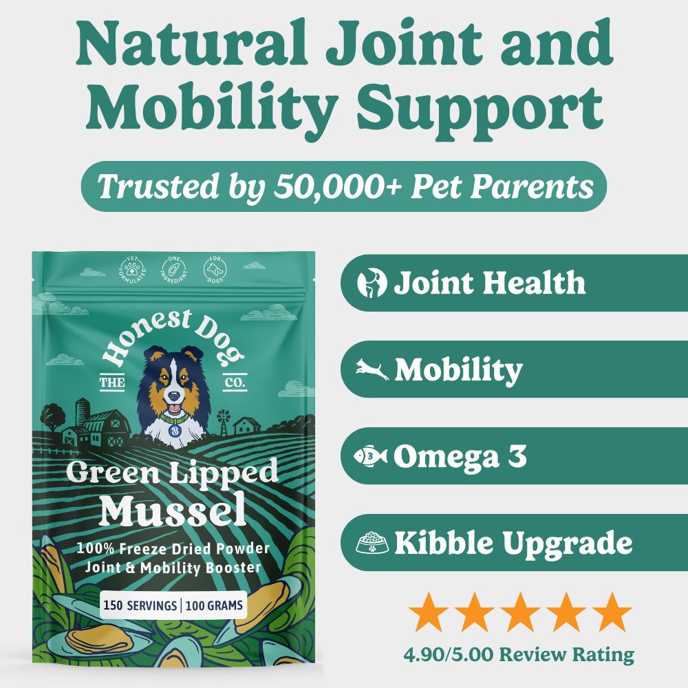 Effective Natural Dog Supplements – Honest Dog Company