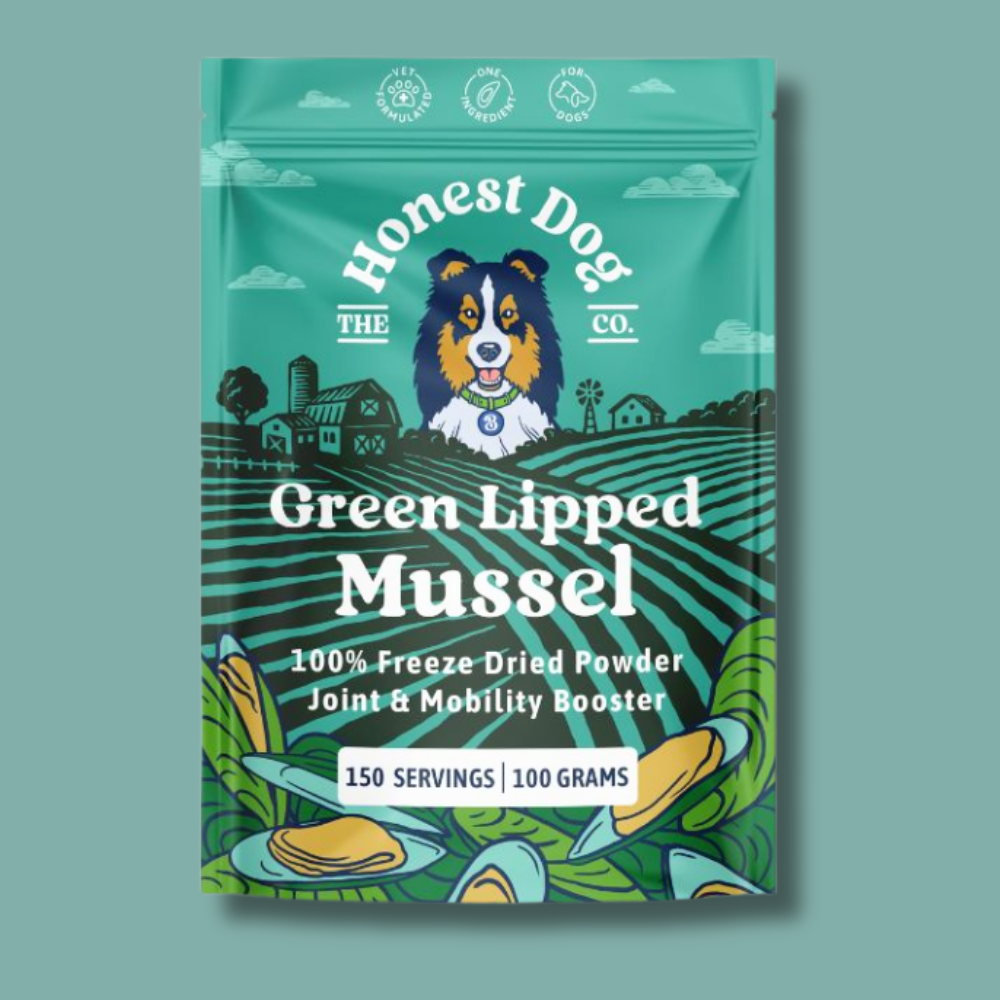 Green Lipped Mussel for Dogs – Honest Dog Company